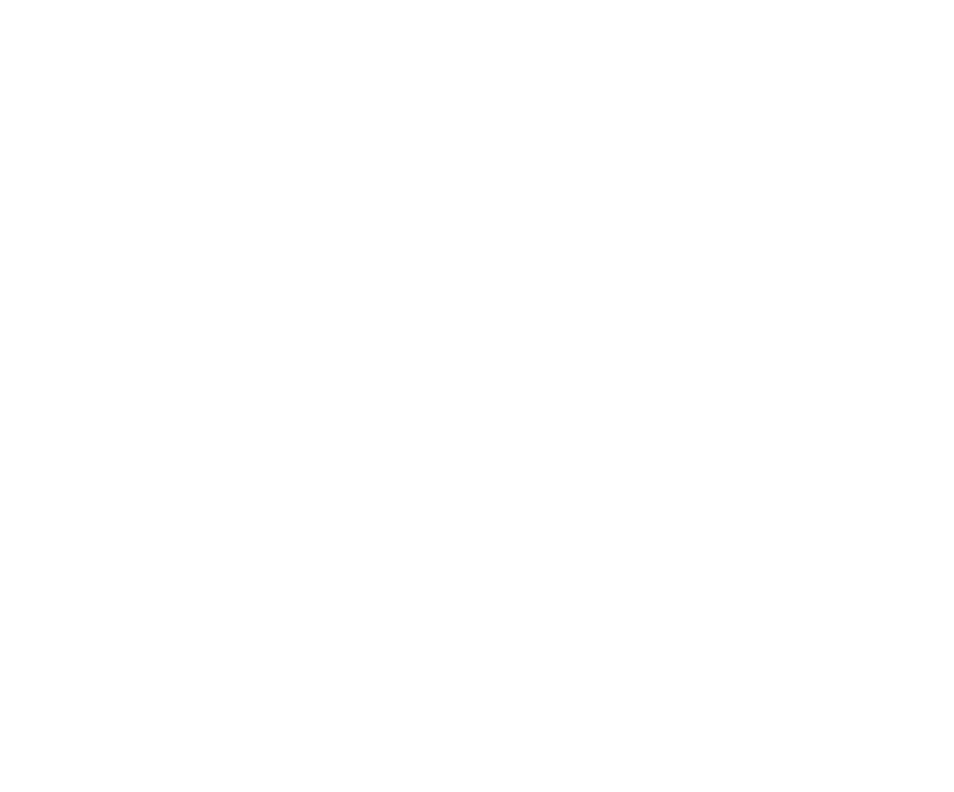 ReportAny – SunPlus Data Group